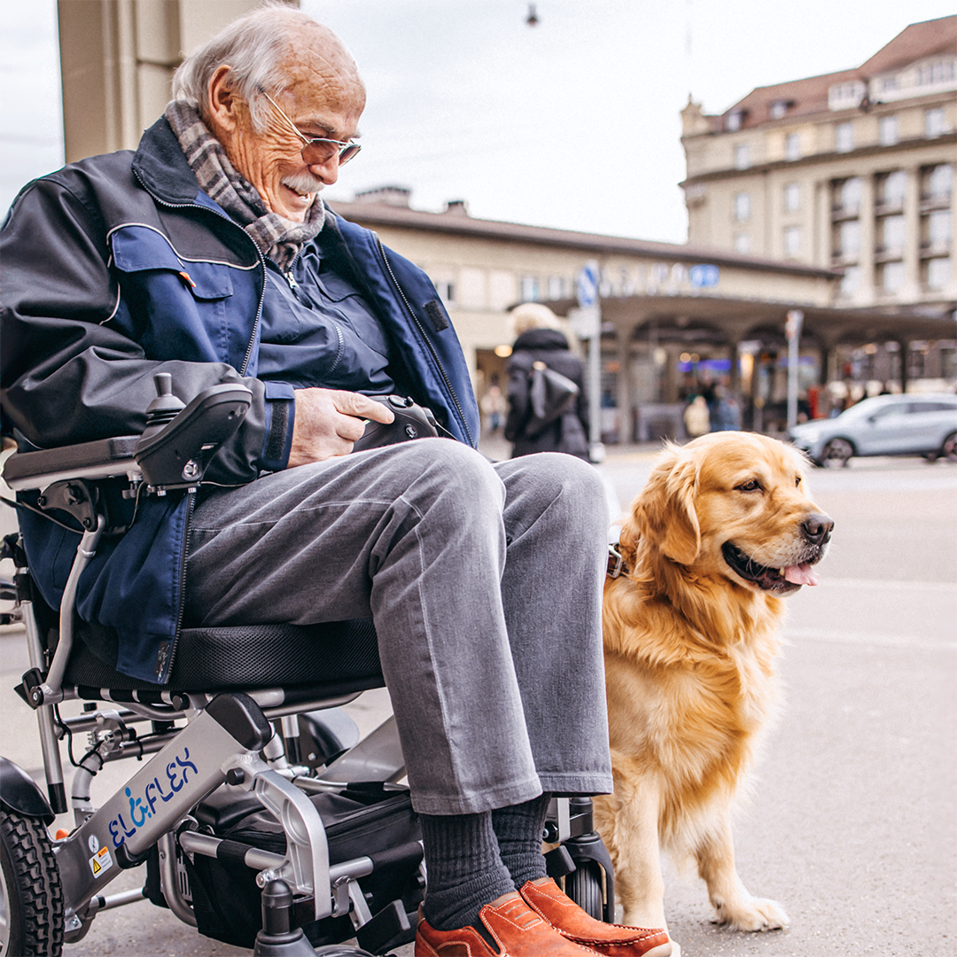 JOYSTICK EXTENSIONS - Eloflex